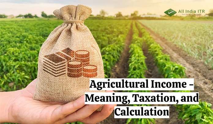 Net Income Formula Calculation And Example Meaning